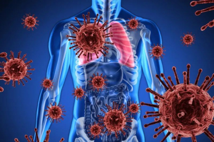 Cum infectează creierul virusul SARS-CoV-2. Descoperirea unor mutații ...