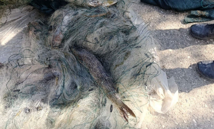 Mai multe persoane, depistate în timp ce pescuiau ilegal în perioada de ...