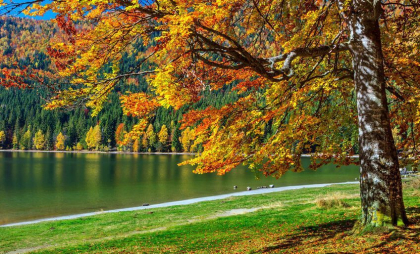 Maxime de până la 29 de grade. Cum va fi vremea astăzi, dar și în ...