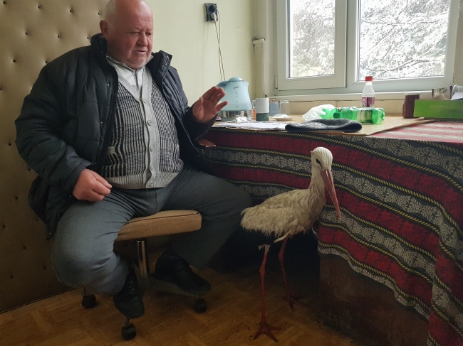 Dupa ce a vazut mai multi cocostarci care s-au intors din tarile calde ...