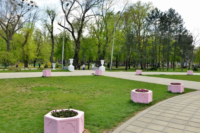 Cele 200 de mii de fire de viole din covorul de flori din centrul ...
