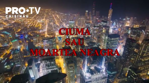 Ciuma, gripa, virusul HIV si Ebola sunt doar cateva dintre maladiile ...