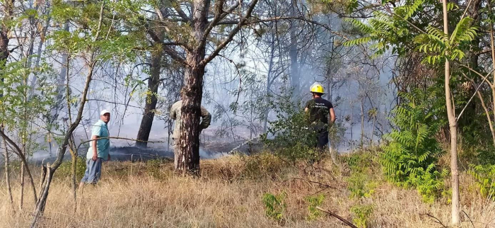 Incendiu puternic in apropiere de vama Leuseni - GALERIE FOTO