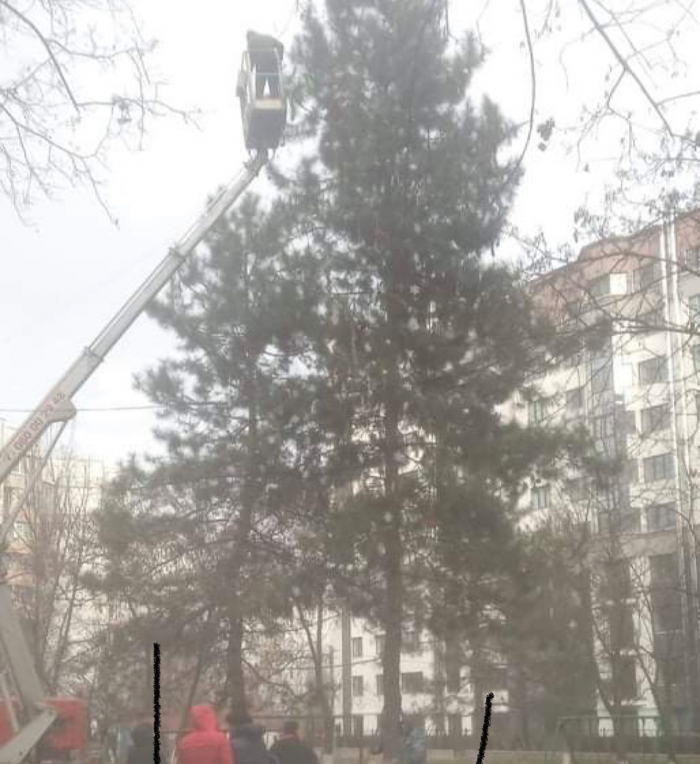 Cativa locuitori din capitala au pus jucariile pe brad cu ajutorul unei ... Cativa locuitori din capitala au pus jucariile pe brad cu ajutorul unei ...