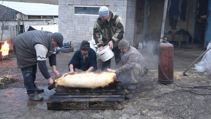 Se taie porcul si se coc craciunei. In ajunul Craciunului, moldovenii ...