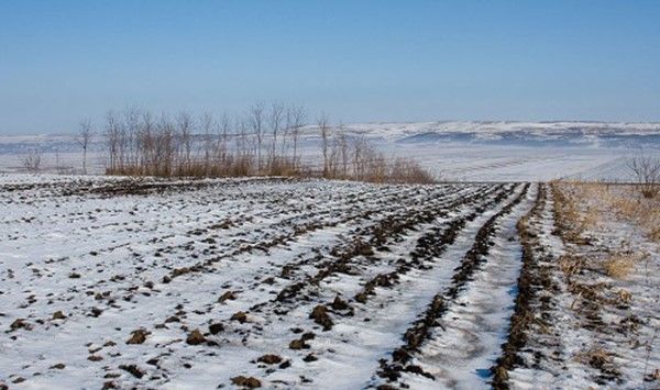 Cer noros si ninsori slabe in nordul tarii. Cum va fi vremea astazi, dar si in urmatoarele zile ...
