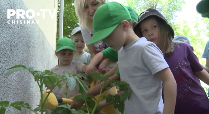 Petrec vacanta invatand. Curiosi sa afle totul despre natura, mai multi ...