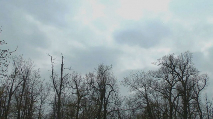 Vremea se raceste. Ce temperaturi se vor inregistra in toata tara, dar ... Vremea se raceste. Ce temperaturi se vor inregistra in toata tara, dar ...