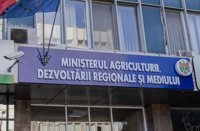 Ședința ministrului Agriculturii și Industriei Alimentare, Vladimir ...