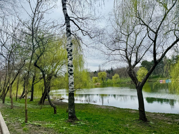 Ploi slabe în centrul și nordul țării. Cum va fi vremea astăzi, dar și în următoarele zile ...