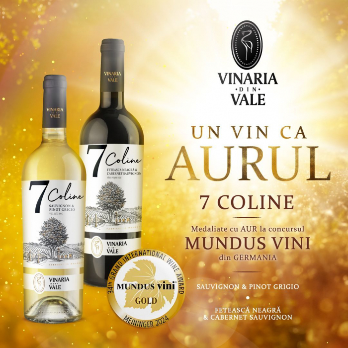 7 Coline de la Vinaria din Vale – un vin ca aurul