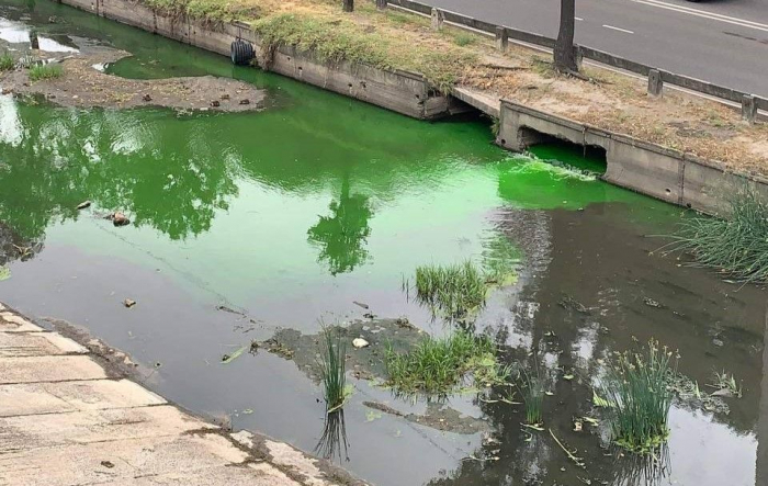 Apa din râul Bâc s-a colorat în verde: Cum se explică acest lucru și ce ...