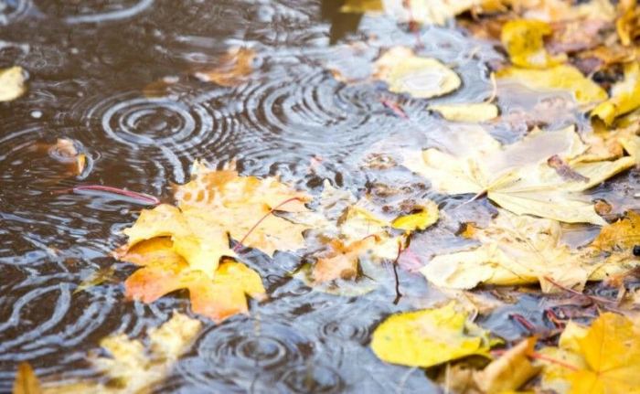 Vremea se răcește, va ploua în toată țara: Câte grade se vor înregistra ...