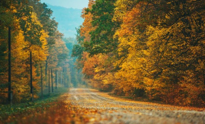 Vremea se răcește. Cum va fi vremea astăzi, dar și în următoarele zile ...