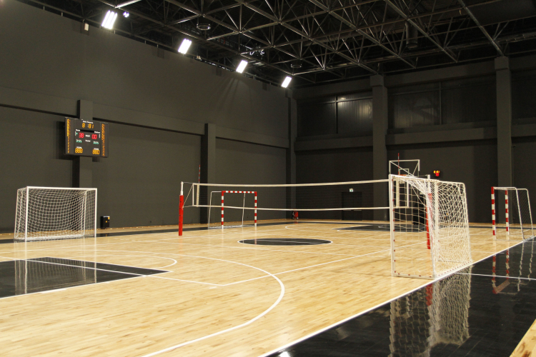 Cum arata Arena Chisinau la un an de la inceperea lucrarilor de ...