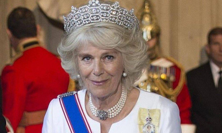 Camilla, ducesa de Cornwall, a purtat o rochie cu un imprimeu bizar la ...