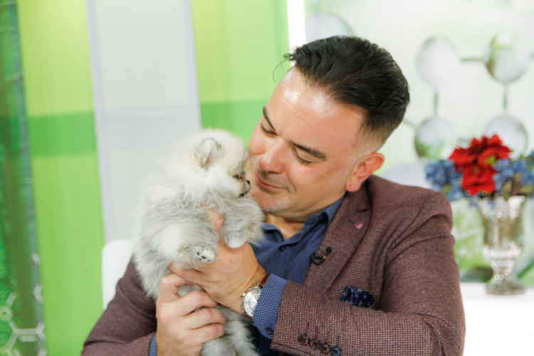 La ce varsta sunt copiii pregatiti sa aiba grija de un animal? Care ... La ce varsta sunt copiii pregatiti sa aiba grija de un animal? Care ...
