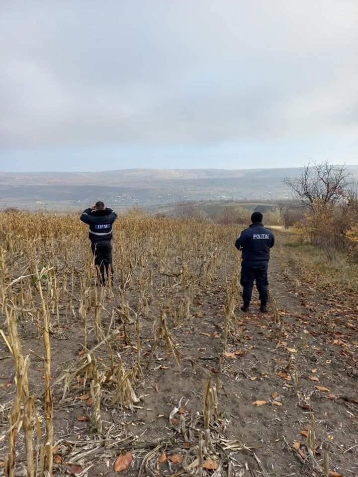 Un barbat - prins de oamenii legii, dupa ce a vanat ilegal doi fazani, la Hincesti. Cum va fi ...