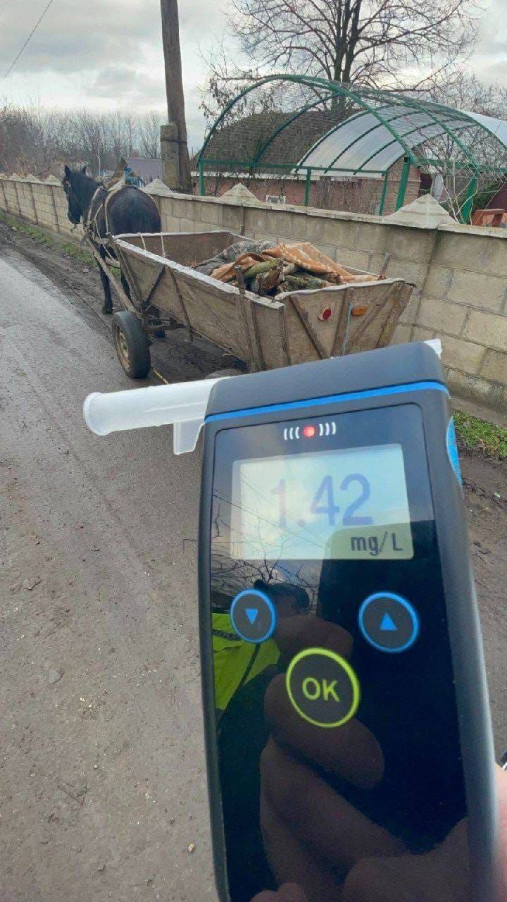 Au baut alcool si au urcat in caruta. Peste 80 de soferi in stare de ...