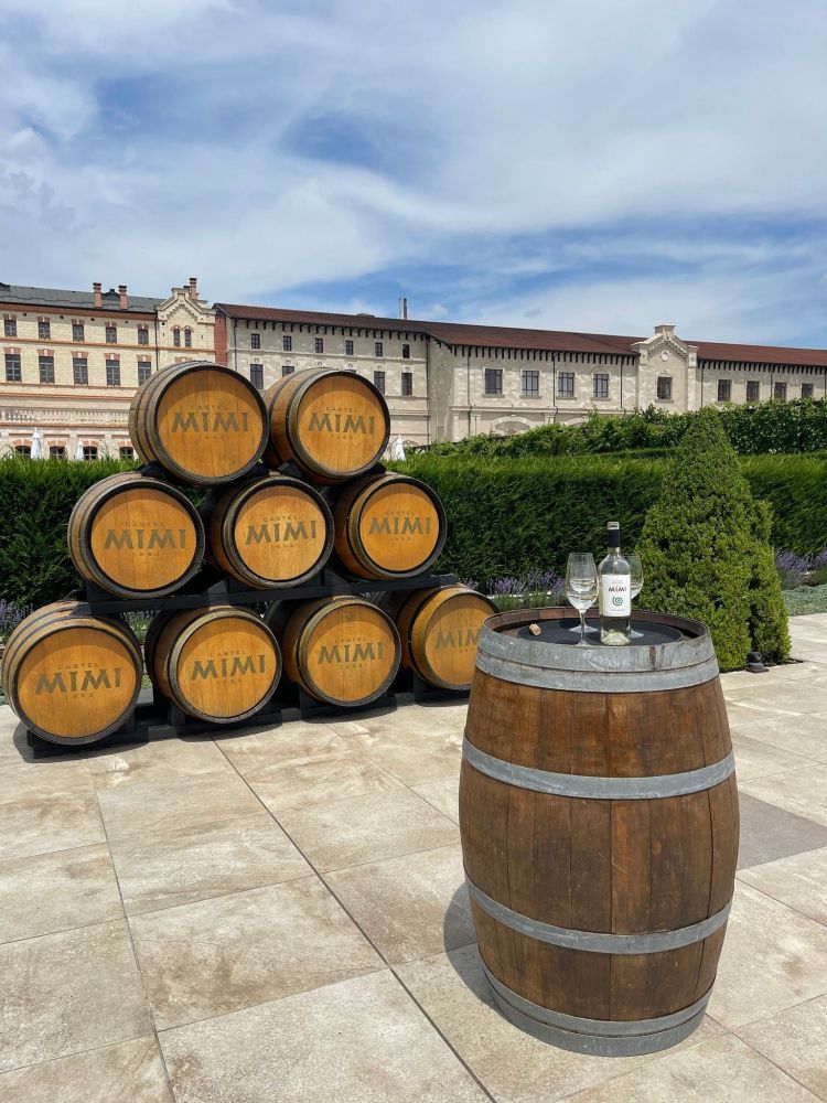 O noua emisiune la PRO TV, Wine Trips Romania! Vezi care e prima ... O noua emisiune la PRO TV, Wine Trips Romania! Vezi care e prima ...
