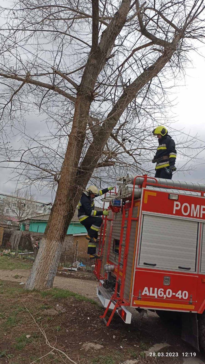 Zeci de copaci au fost rupti, iar unele case au ramas fara acoperis ...