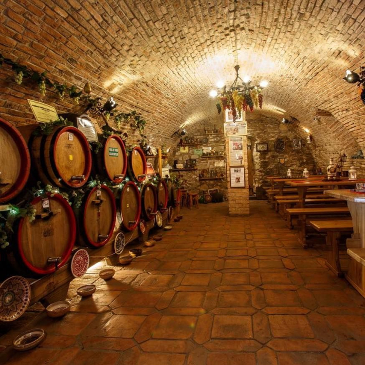 Complexul Butoias - locatia perfecta pentru a savura din plin ...