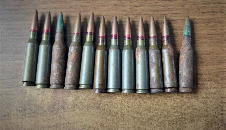 Alcool contrafacut, arme si mai multe cartuse detinute ilegal - gasite ...