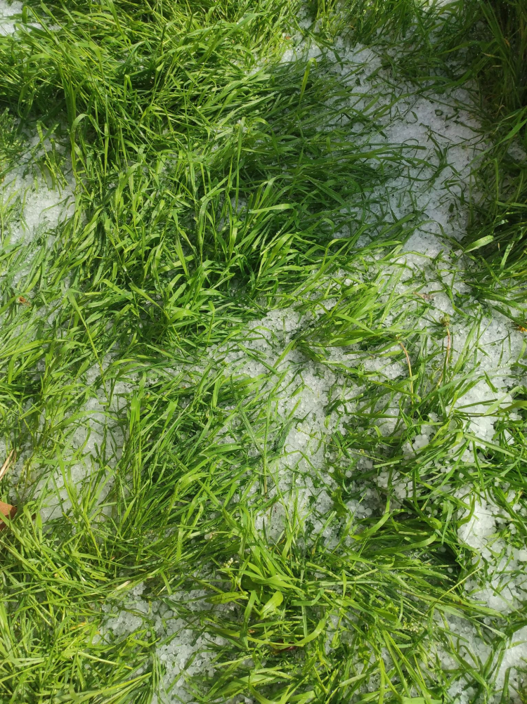 A plouat puternic și cu grindină în nordul țării: „Am văzut potopul ...