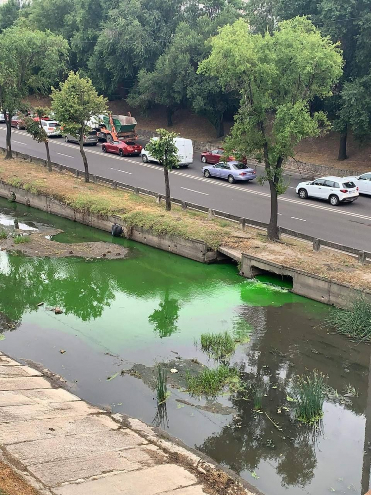 Apa din râul Bâc s-a colorat în verde: Cum se explică acest lucru și ce ...