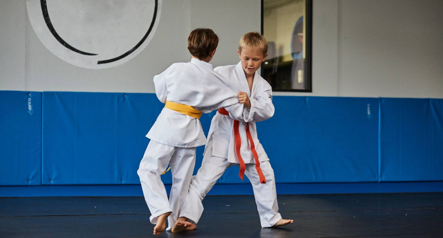Judo - sportul care dezvolta gandirea copilului. Este una dintre cele ...