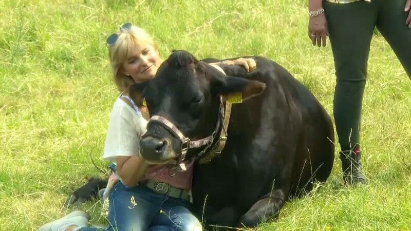 O ferma din Germania primeste oaspeti care vor sa stea pe iarba alaturi ...