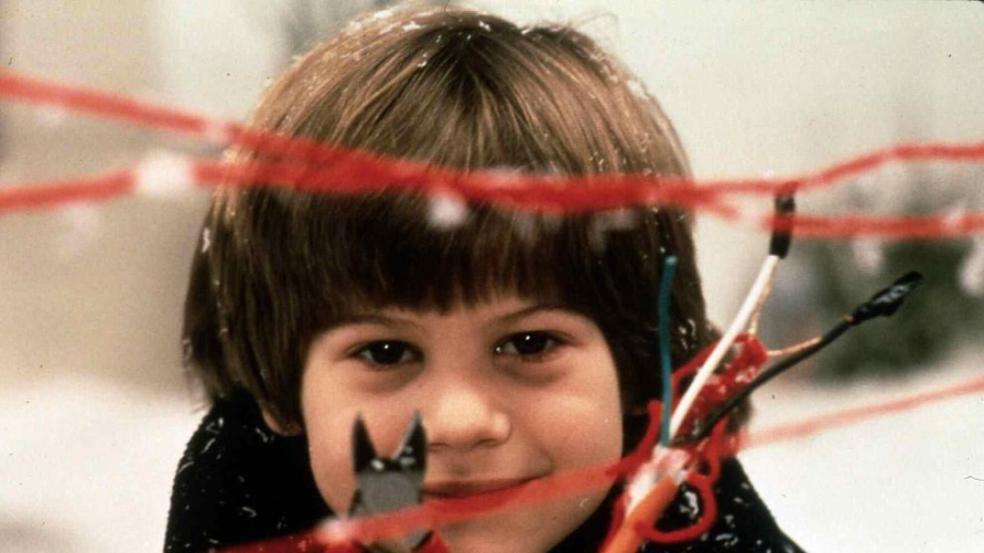 Cum arată astăzi Alex Pruitt, puștiul simpatic din filmul „Singur Acasă ...